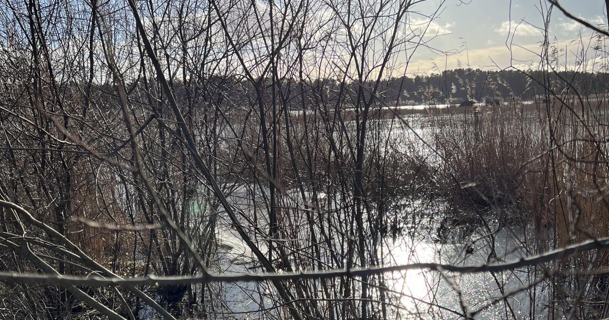 Flood Monitoring App – Products – Forest Radar