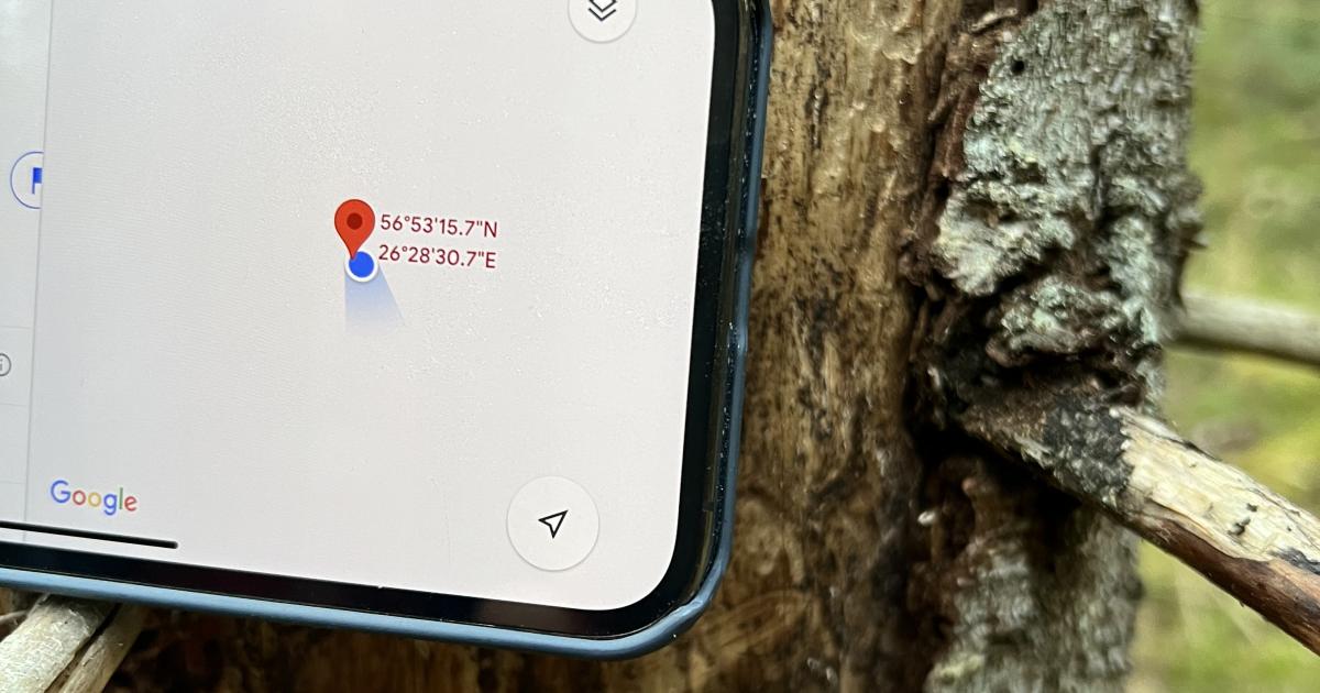 Special Offer - Forest Health Monitoring Service – News – Forest Radar