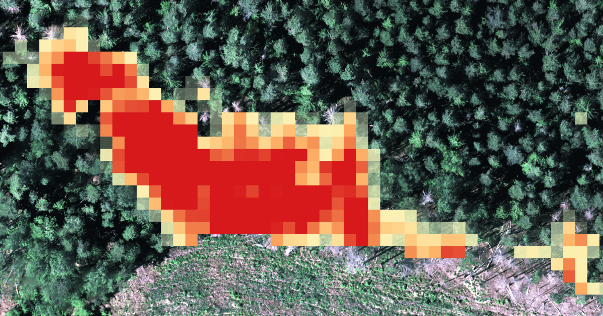 Developing Forest Protection Product with Cross-Border Support – News ...